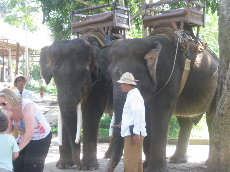 Bali, Indonesia | Spring break '12 | UK Lifestyle Blog